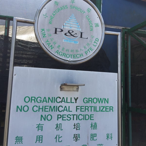 Photos at Kin Yan Agrotech Pre Ltd - Farm in Singapore