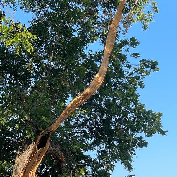 Rowlett Community Park - Playground