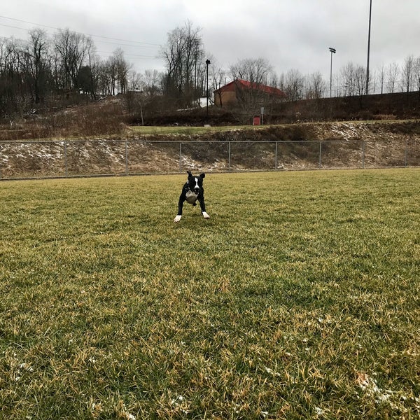 Photos at Peterswood Park - Peters Township, PA