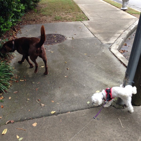 Photos at Shady Valley Park - Buckhead - Atlanta, GA