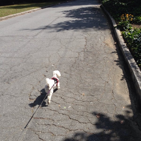 Photos at Shady Valley Park - Buckhead - Atlanta, GA