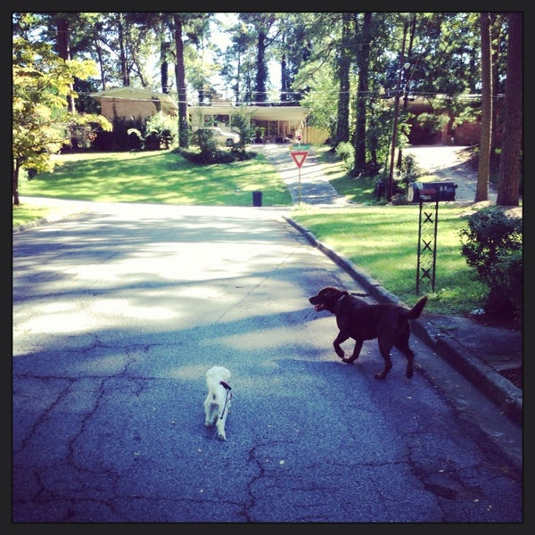 Shady Valley Park - Buckhead - Atlanta, GA