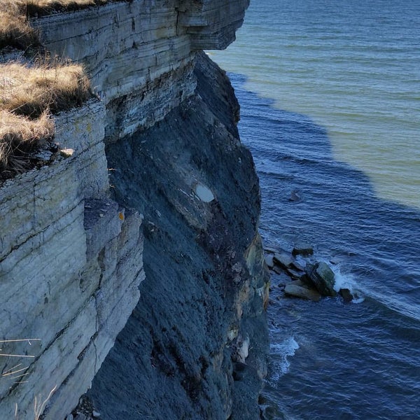 Pakri poolsaar - Campground