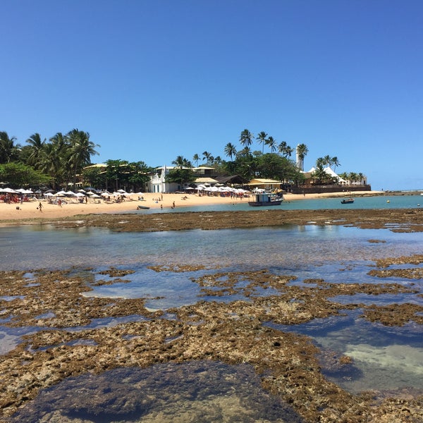 Praia do Forte - 87 tips from 3482 visitors