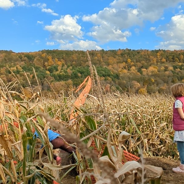 Iron Kettle Farm - Farm