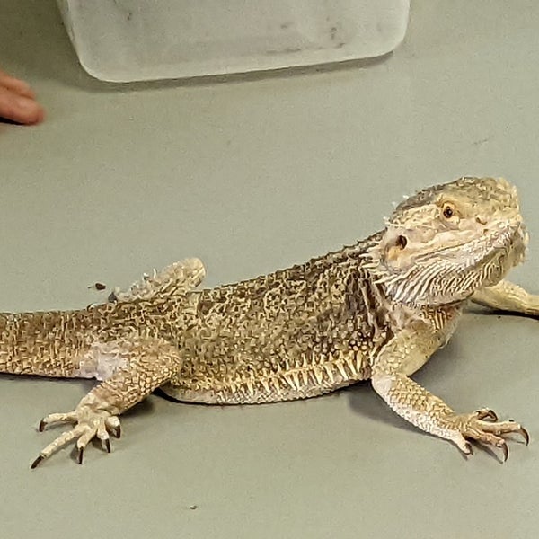 Cayuga Nature Center - 1420 Taughannock Blvd