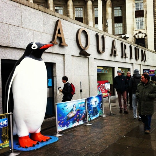 Sea Life London Aquarium - Waterloo - 130 tips