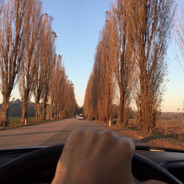 Creazzo - Vicenza, Veneto