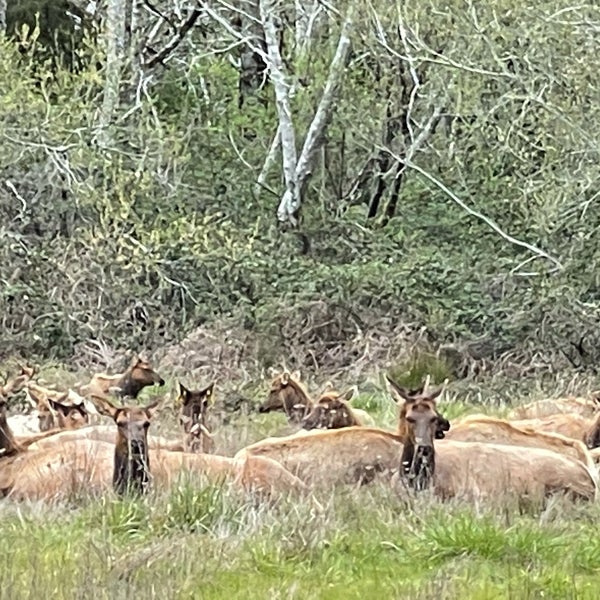 Town of Orick - City