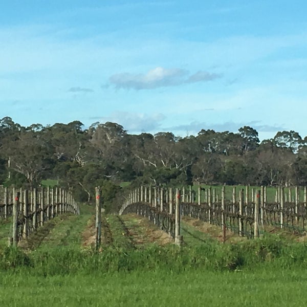 Paringa Estate Winery - 44 Paringa Rd