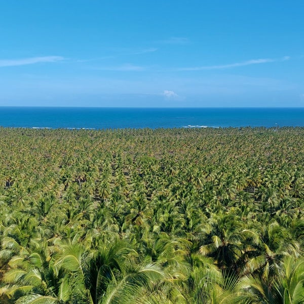 Mirante da Praia do Gunga - Scenic Lookout