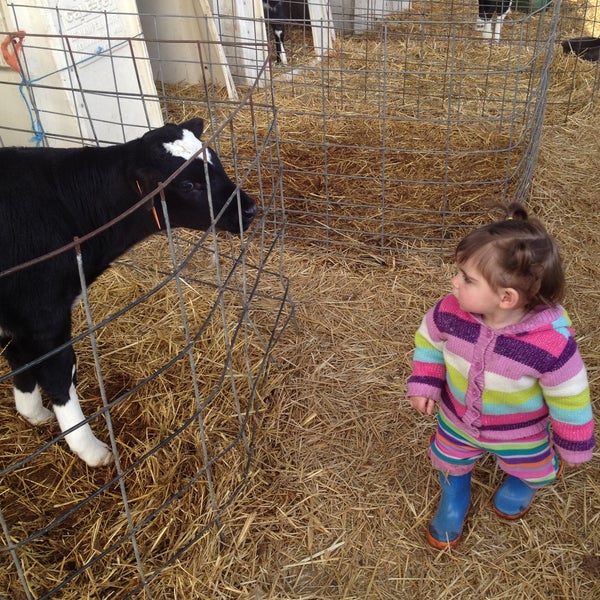 Calder Dairy and Farms - Farm in Carleton