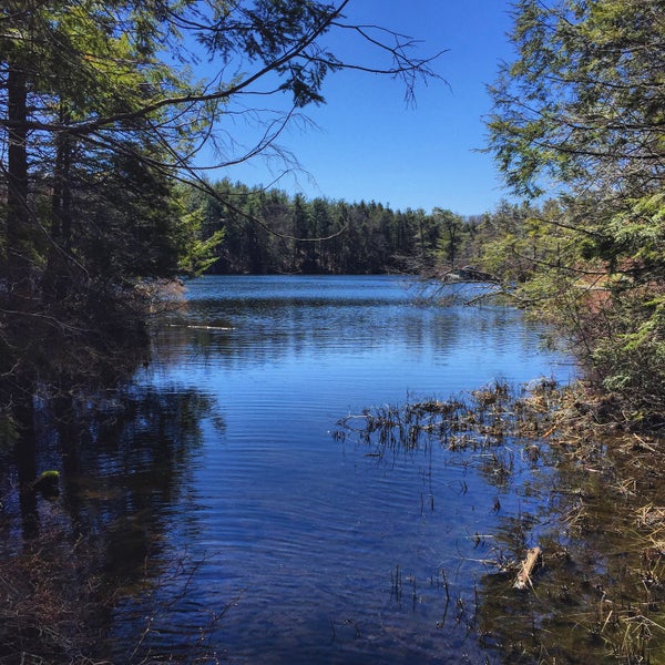 Photos at Breakheart Reservation - Park
