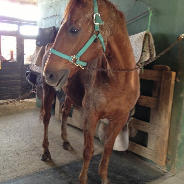 Photos at Ravenwood Stables - Farm in Prairieville