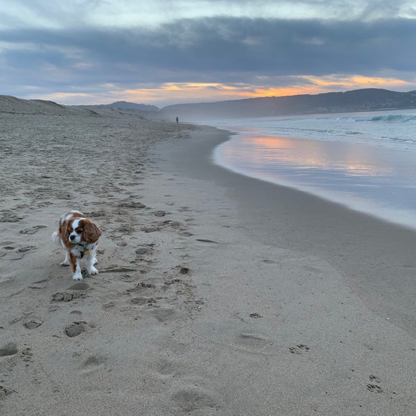 Monterey State Beach - Beach in Monterey