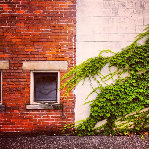 Photos at Redtree Art Gallery and Coffee Shop - Art Gallery in Oakley