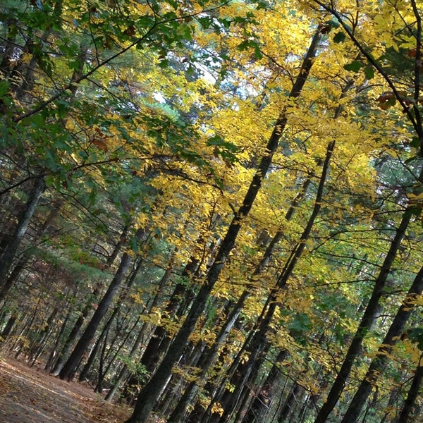Photos at Ghiloni Park - Park
