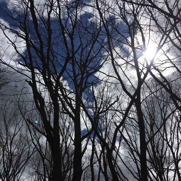 Photos at Ghiloni Park - Park
