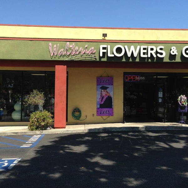 Walteria Flowers | Best Flower Site