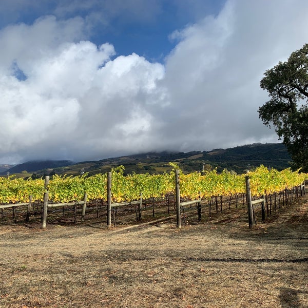 Loxton Cellars - Winery