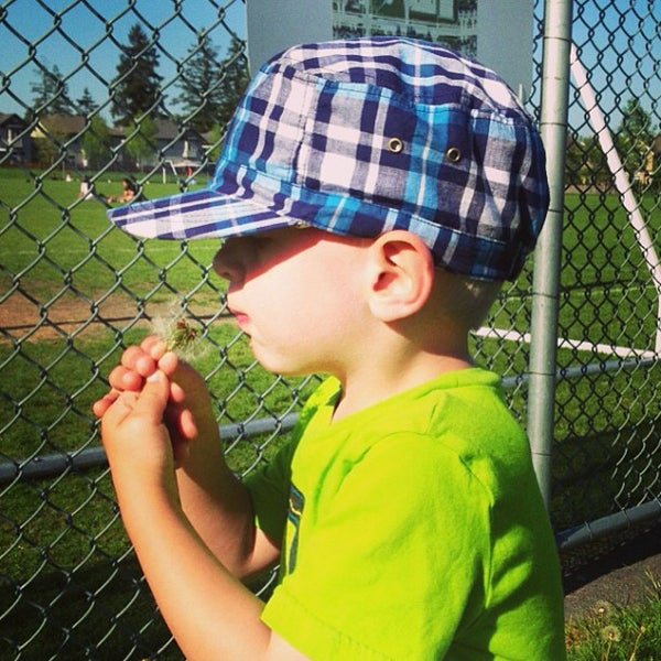 Photos at Goldstone park - Newton - 42 visitors