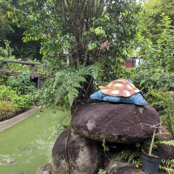 The Live Turtle & Tortoise Museum