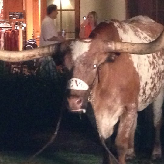 University of Texas Golf Club - Steiner Ranch - 5 tips from 628 visitors