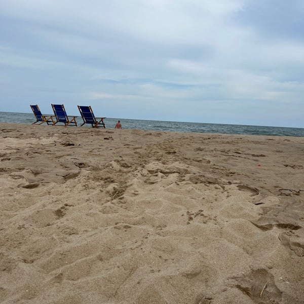 Poodle Beach - Rehoboth Beach, DE
