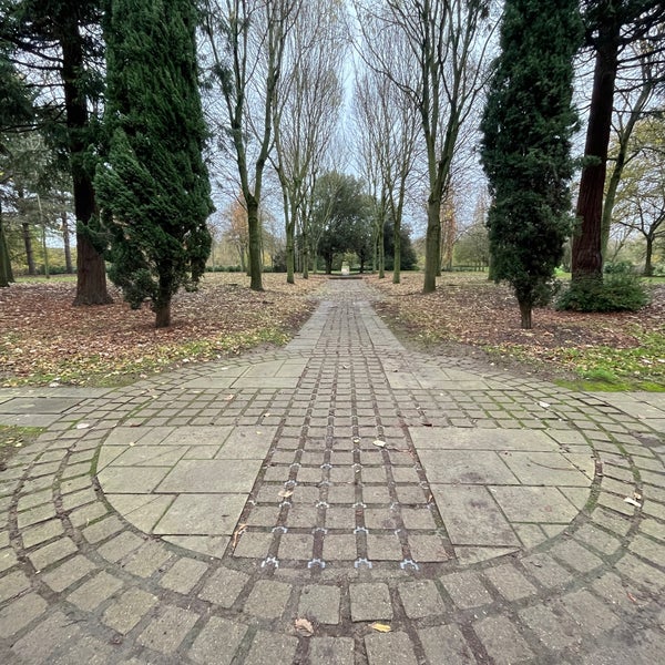 Tree Cathedral - Scenic Lookout