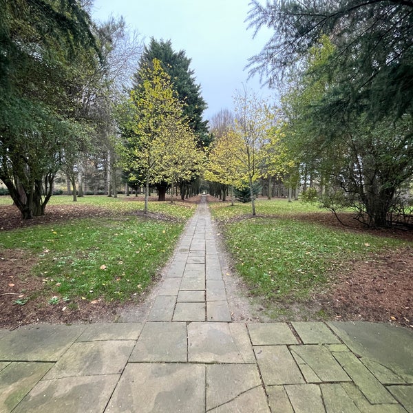 Tree Cathedral - Scenic Lookout