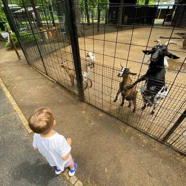 ZOO Hodonín - 7 tips