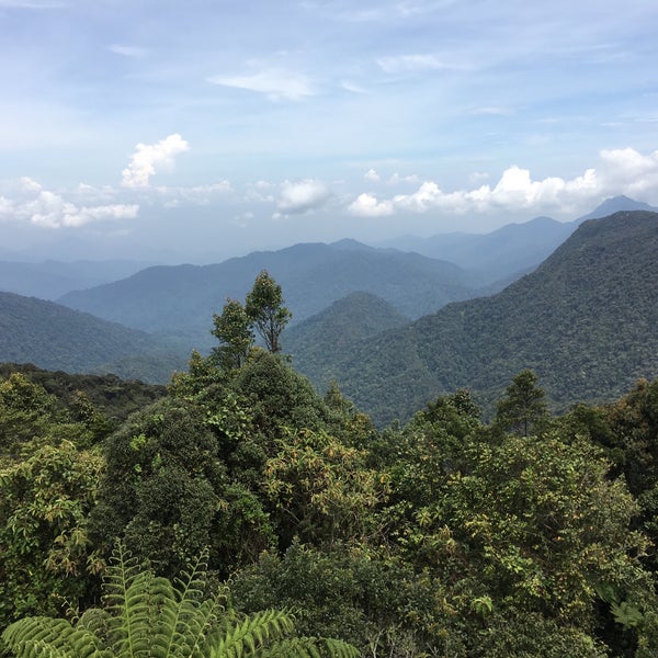 Puncak Gunung Brinchang - Mountain in Cameron Highlands
