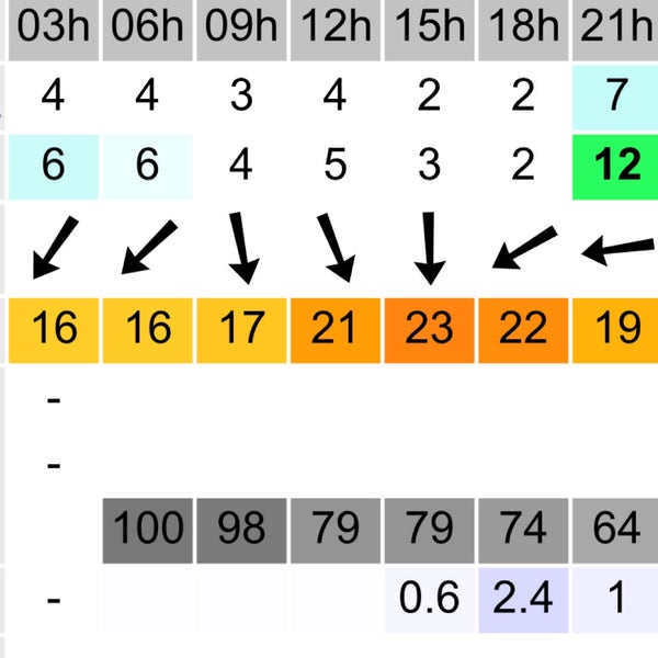 Sail Newport - Harbor or Marina