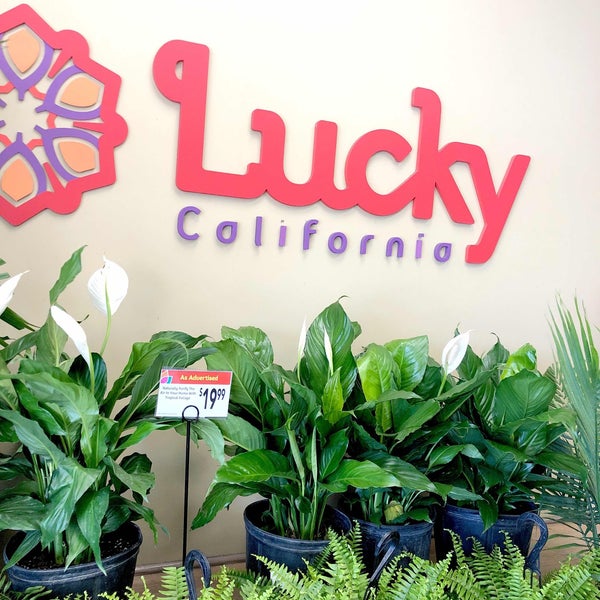 Lucky California - Supermarket in Daly City