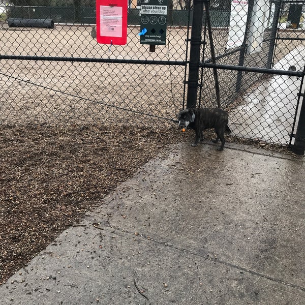 South Boston Bark Park - Columbus Park - Andrew Square - Boston, MA