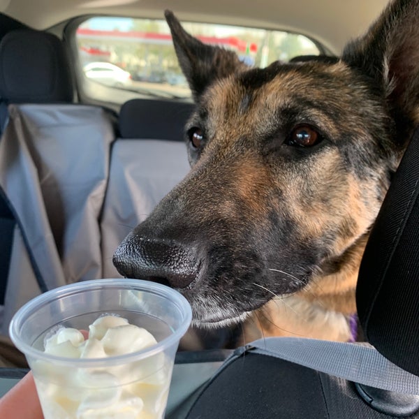 Starbucks - 8 tips from 764 visitors