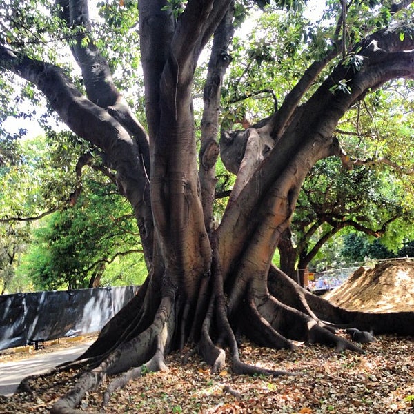 Photos at Hyde Park - Perth CBD - 23 tips from 975 visitors