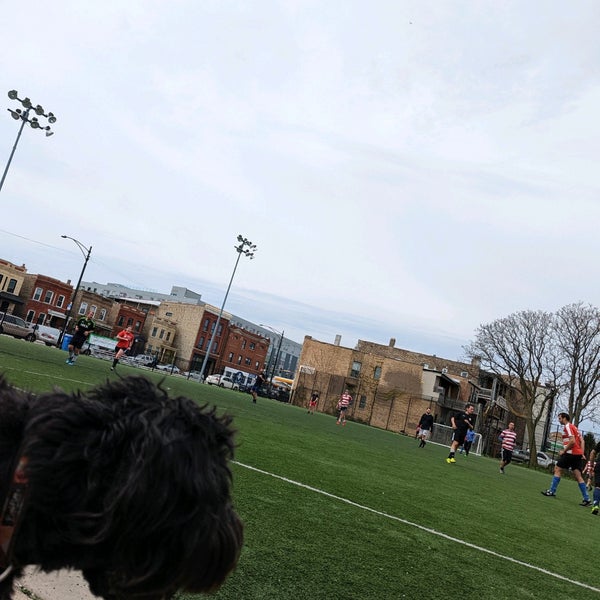 Haas Park - Logan Square - 7 tips