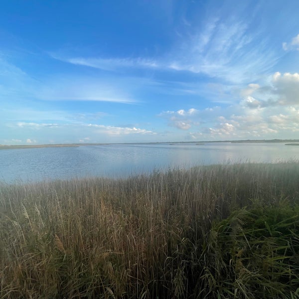 Pea Island National Wildlife Refuge - 12 tips from 1171 visitors