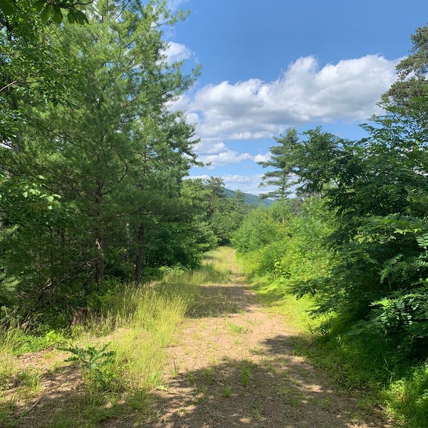 Tuscarora State Forest - Blain, PA