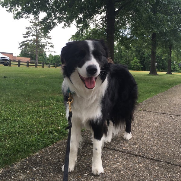 Francis Lore Elementary School - Elementary School in Ewing