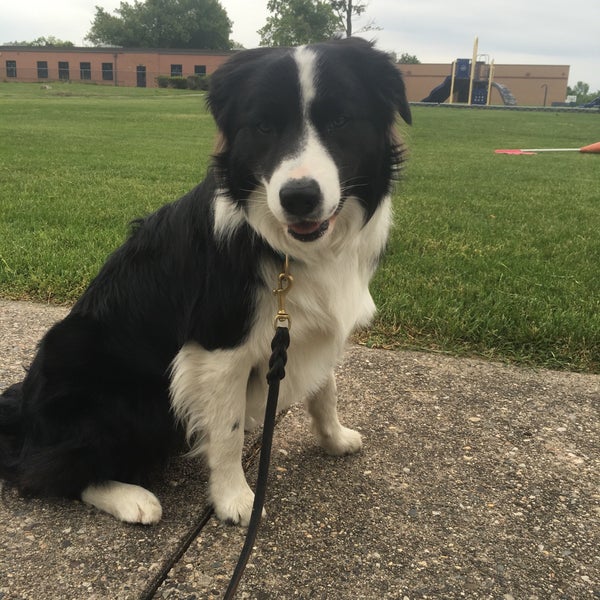 Francis Lore Elementary School - Elementary School in Ewing