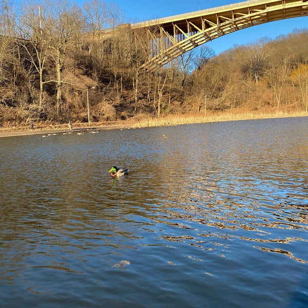 Flagstaff Hill - Field in Squirrel Hill South