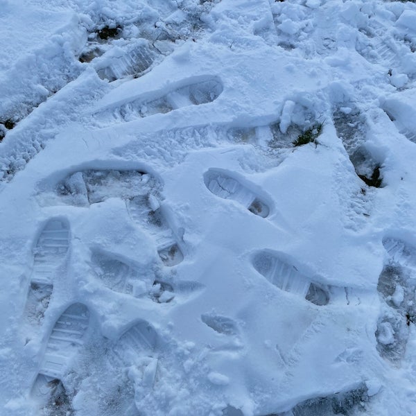 Schenley Park Ice Skating Rink - Squirrel Hill South - Pittsburgh, PA