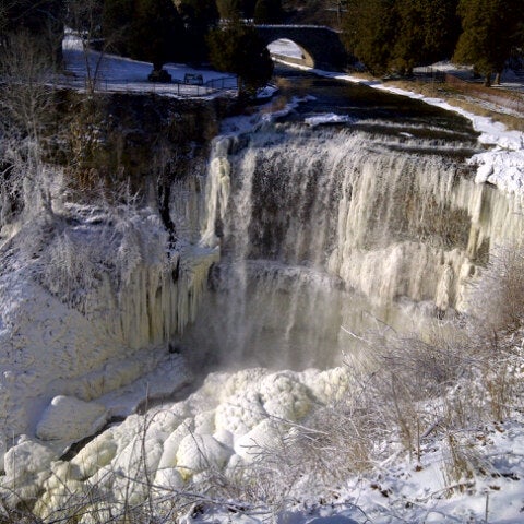 Webster's Falls - Trail