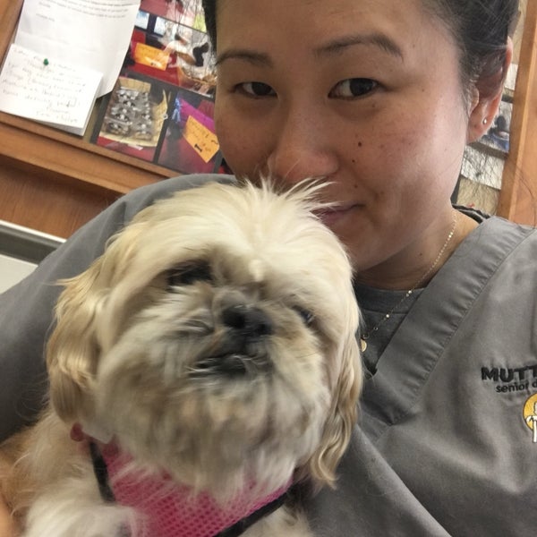 Muttville Senior Dog Rescue - Animal Shelter in San Francisco