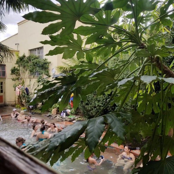 Photos at McMenamins Kennedy School Soaking Pool - 5736 NE 33rd Ave