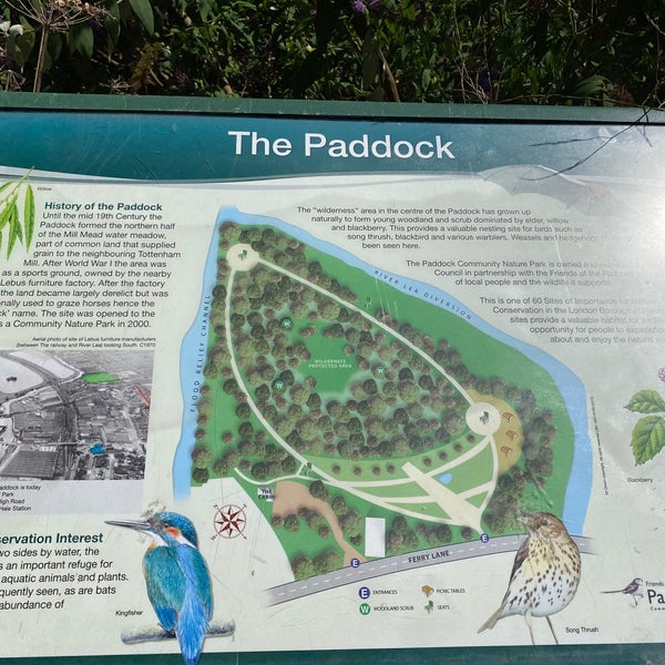 The Paddock Community Nature Park - Park