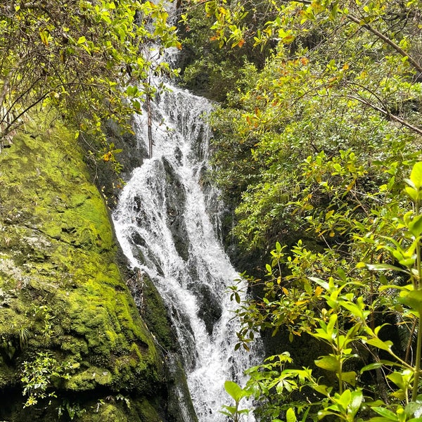 Picton - Picton, Marlborough