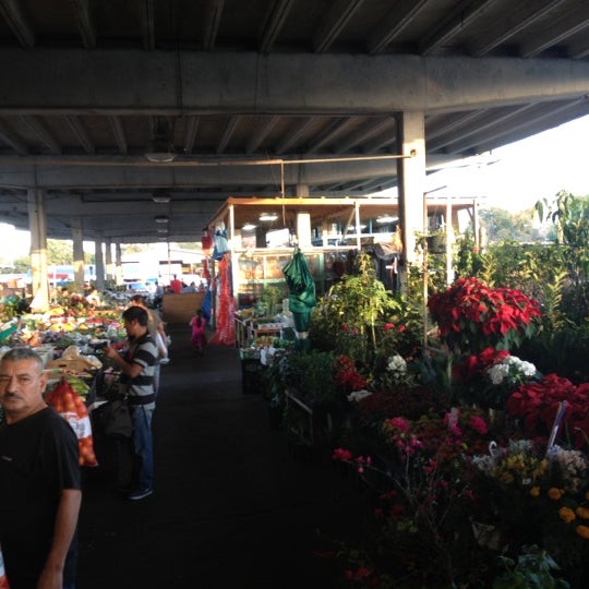 Photos at Canino Produce Co. - Farmers Market